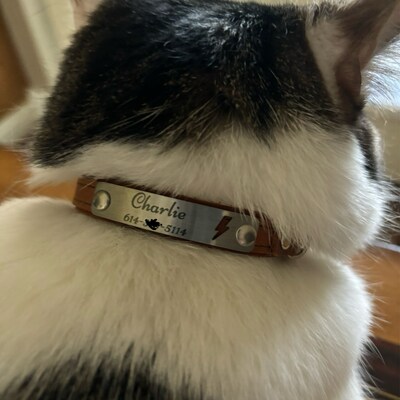 Leather Cat Collar With Name, Personalized Cat Collar, Engraved Custom ...