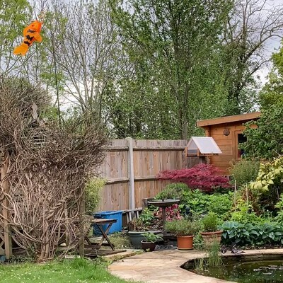 Frog Windsock - Etsy