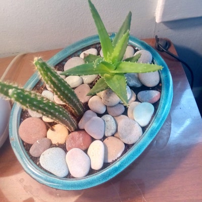 Alaska River Rock 10 Pounds River Rocks Bulk Wedding - Etsy