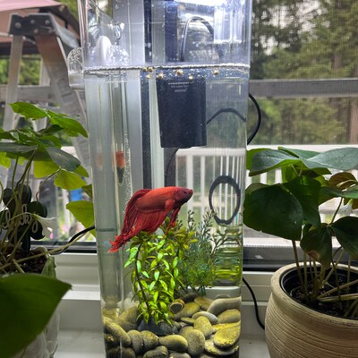 DIY Self Cleaning Conversion Kit for Anchor Hocking 2 Gallon - Etsy