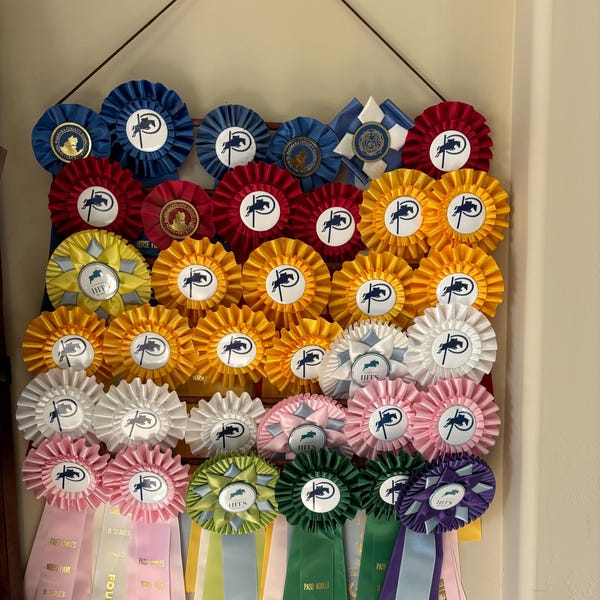 Dog Show Ribbon Holder Dog Show Award Rack Dog Show Ribbon Holder Dog ...