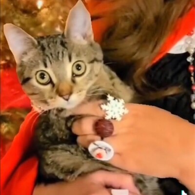 DOOR BUSTER Christmas Button Charm Bracelet Christmas Jewelry Buttons ...