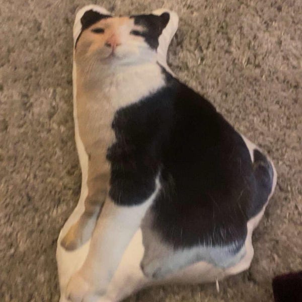 Custom Cat-shaped Throw Pillow, Personalized Cat Cushion, Custom Pet ...