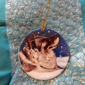 Blue Merle Tri Color Sable Shelties shelties Around | Etsy