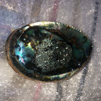 Large Abalone Shell, Colorful Abalone Shell, Natures Painting in a ...