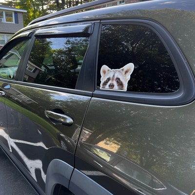 Peeking Raccoon Car Sticker Decal / Funny Raccoon Head Face Animal ...