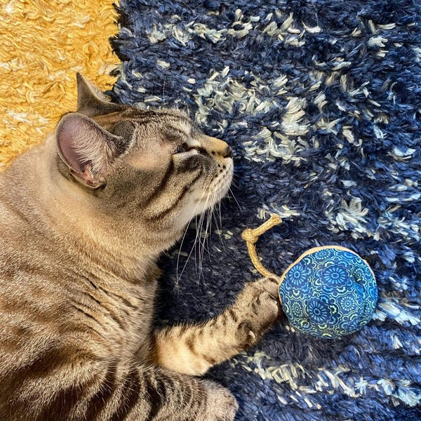 Cat Scent Enrichment Kit 13 Herbs Improve Wellbeing Cat Toy Cat Gift ...