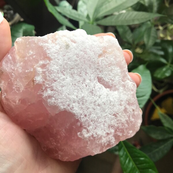 Jumbo Raw Rose Quartz Crystal - Etsy