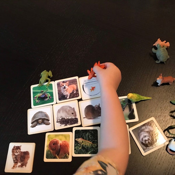 Montessori and Waldorf Learning Sea Life Animals Sustainable Match Toys ...