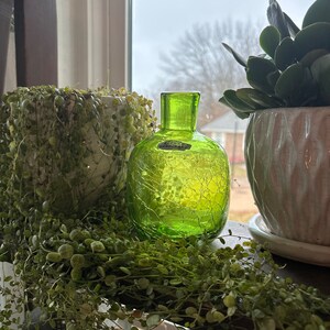 LE Smith Bittersweet Orange Swung Glass Ribbed Vase 23 - Etsy