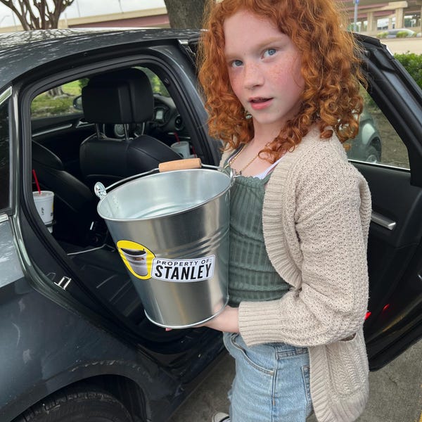 Stanley Parable Reassurance Bucket - Etsy