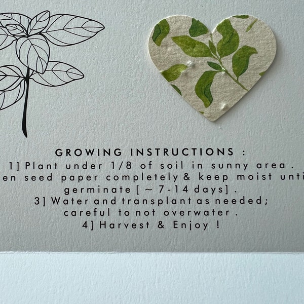 Plantable Herb Seed Paper Sheet Printer Size Herb Seeded Paper ...