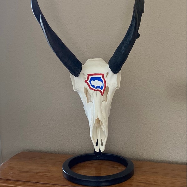 Bull Bracket by Skull Bracket, World's Strongest Skull Hanger for Big ...