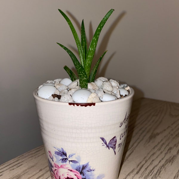 Girl in Glass Tea Cup Sticker Waterproof Laptop & Water Bottle Sticker ...