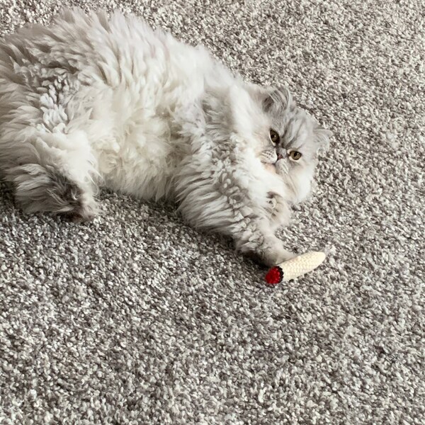 Catnip Cat Toy - Kitty Joint - Crochet Doobie for Cats - Cat Blunt With ...