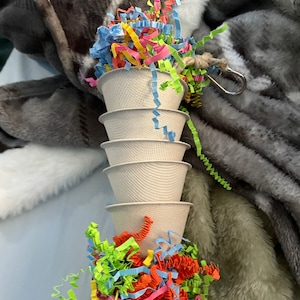 Mini Wiggler Cup Forager by Cheep Thrills Bird Toys - Etsy