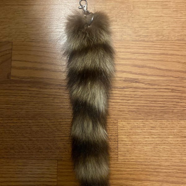 Real Raccoon Tail Taxidermy Keychain - Etsy