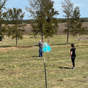 Skeet Gender Reveal Shooting Target in Pink or Blue Skeet Target ...