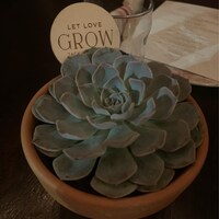 Parents Decision Token Dad's Turn Coin Mom's Turn Coin Funny Baby Gift ...