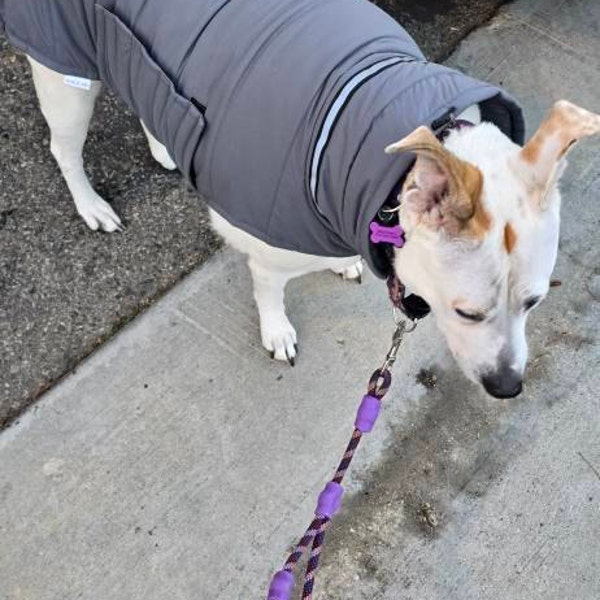 Waterproof & Windbreaker Dog Jacket - Cozy Comfortable Overalls and ...