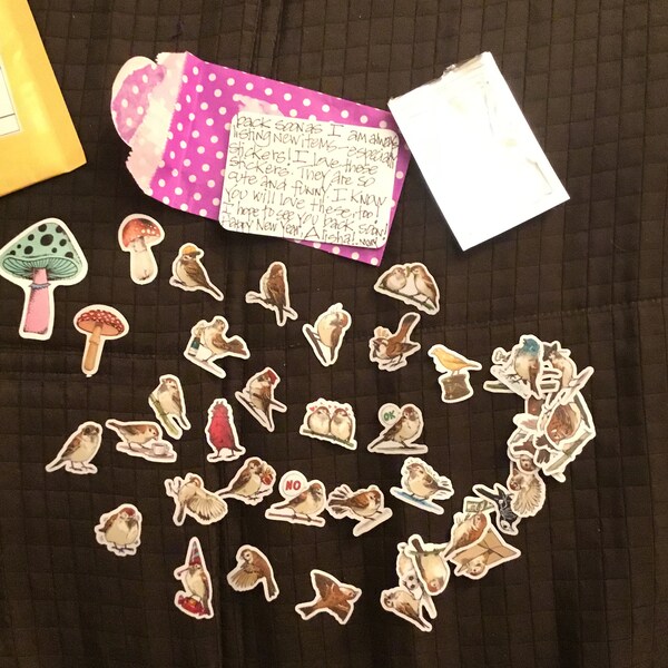 BIRDS, BIRDS, BIRDS! 40 Bird Stickers, Realistic Birds, Funny Birds ...