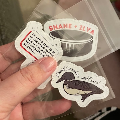 Shane & Ilya Heated Rivalry Sticker Duo - Etsy