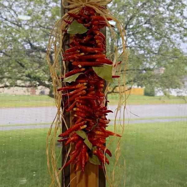 Chilli Peppers Garland - Kitchen Decoration - Etsy