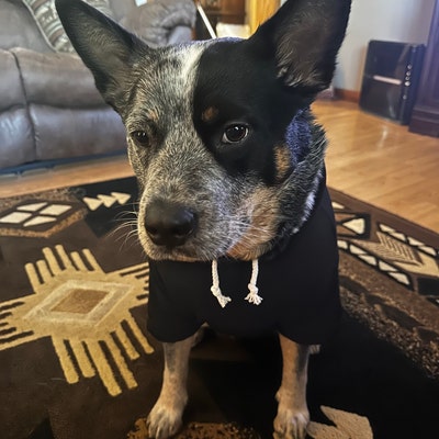 Treat Pocket Stuffed T Bone Dog Toy With Squeaker - Etsy