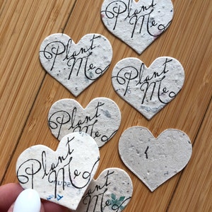 Handmade Seed Paper With Tree Fern Green Branch and Wild | Etsy