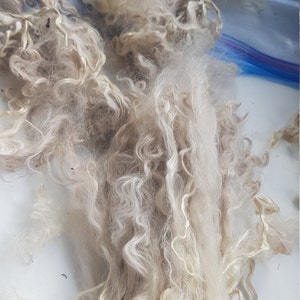 Rainbow-mix Suri Alpaca Fleece and Hand-dyed Suri Locks Spinning and ...