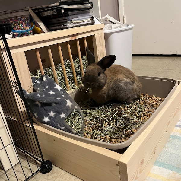 Medium - Hop Box: Rabbit Bunny Hay Feeder and Litter Pan Combo - Etsy