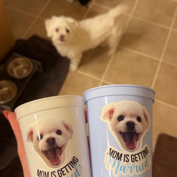 Keepy Uppy, Sticky Gecko, Bluey Party Decor, Toddler Party Favors, Dog ...