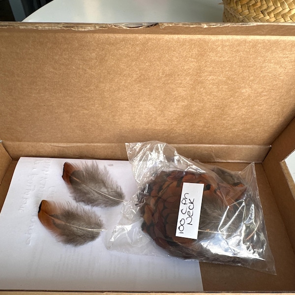 40 Mallard Blue Duck Wing Feathers 4" - 5" / 10 - 13cm - Etsy