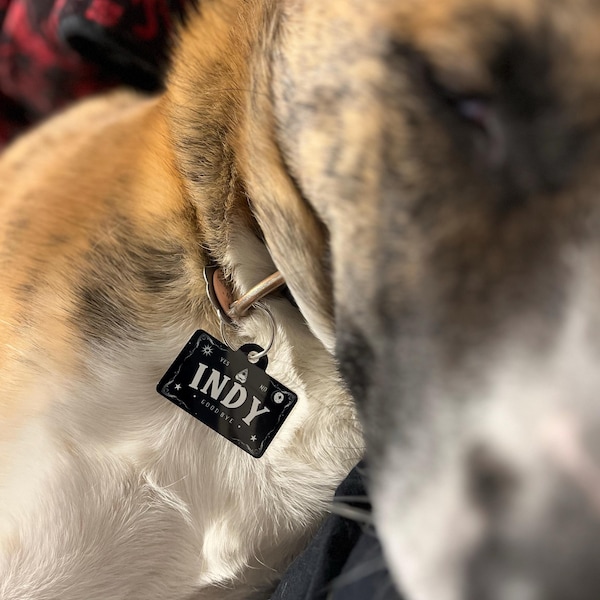 Witchy Pet ID Tag, Custom Personalized Dog or Cat Tags, Mystical Gothic ...