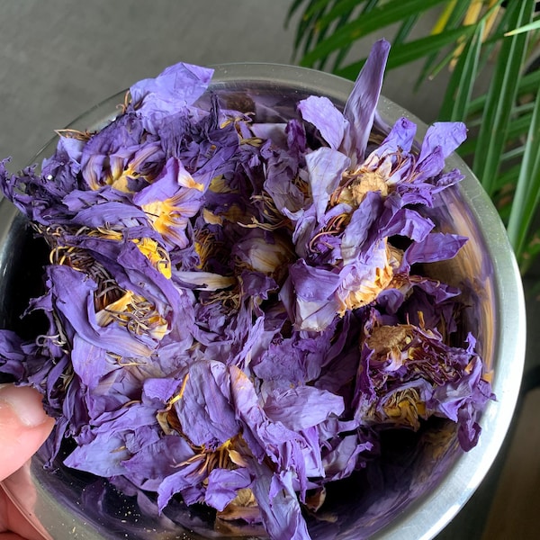 40 Grams Premium Organic Dried Blue Lotus Flowers | Nymphaea Caerulea ...
