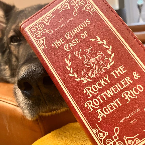 Personalized Poetry Journal | Custom Notebook for Poet | Hardcover ...