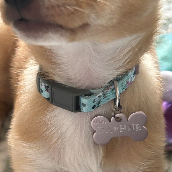 Audrey Dog ID Tag Silver/aqua - Etsy