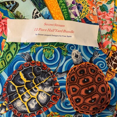 Emilia Quilt Pattern by Robin Pickens Quilts - Etsy