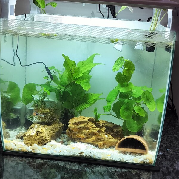 NEW Mini Riser, Fluval Flex Lid Risers, 2" Lid Risers for All Fluval ...