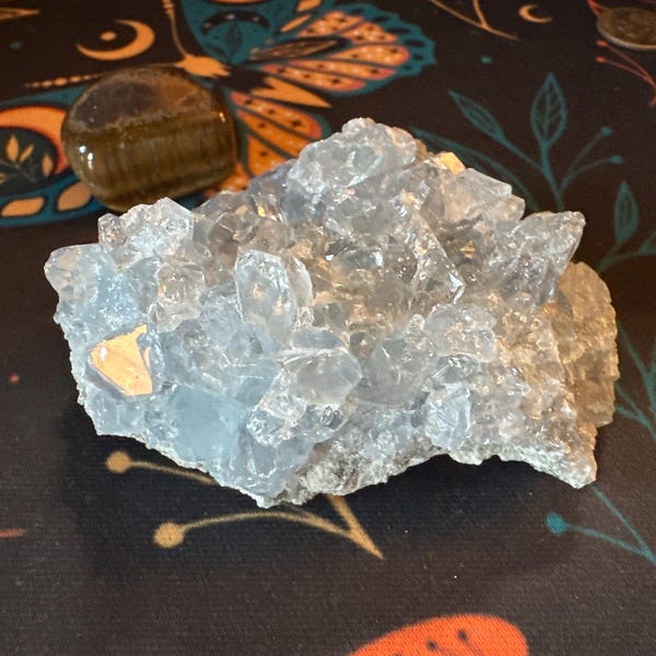 Powerful Shungite Point Tower With Glass Case Crystal Gift, EMF ...