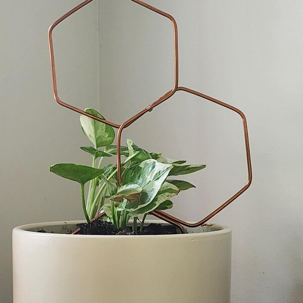 Plant Propagation Side Car Plant Buddy Test Tube Prop Station - Etsy