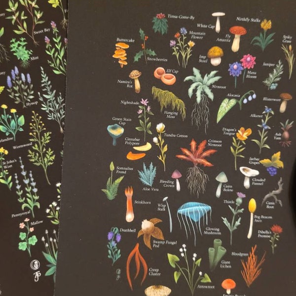 A Tolkien Bestiary Art Print Selected Beasts From Tolkien's Legendarium ...