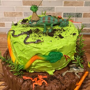 Spider Cake Topper / Tarantula - Etsy