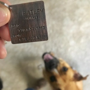 Custom Dog ID Tag, the Otis, Hand Stamped Dog Tag, Personalized Dog Tag ...