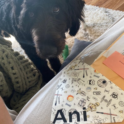 Spiderman Dog and Cat Bandana With Optional Personalization, Matching ...