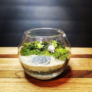 Blue Dragon MINIATURES Tiny Figures Figurines Dollhouse - Etsy