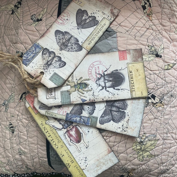 Entomology Tag Set, Vintage Tags, Tag Set, Set of 6 Insect Tags 2.5x5 ...