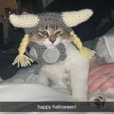 Brunhilde, Vikings, Valkyries, Wagner Opera, Hats for Cats, Pet Hats ...