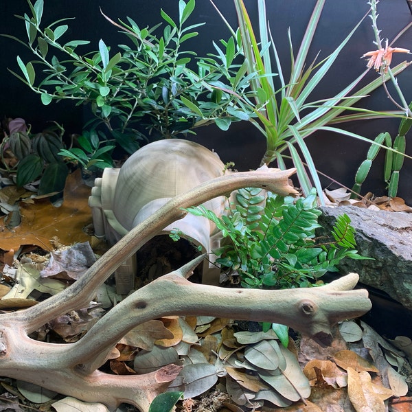 Tatooine Star Wars Style Hut Reptile Hide ( Large Wide Entrance ) for ...