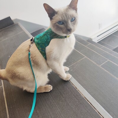 Safetykatz Walking Jacket Crocodile Custom Made Cat - Etsy